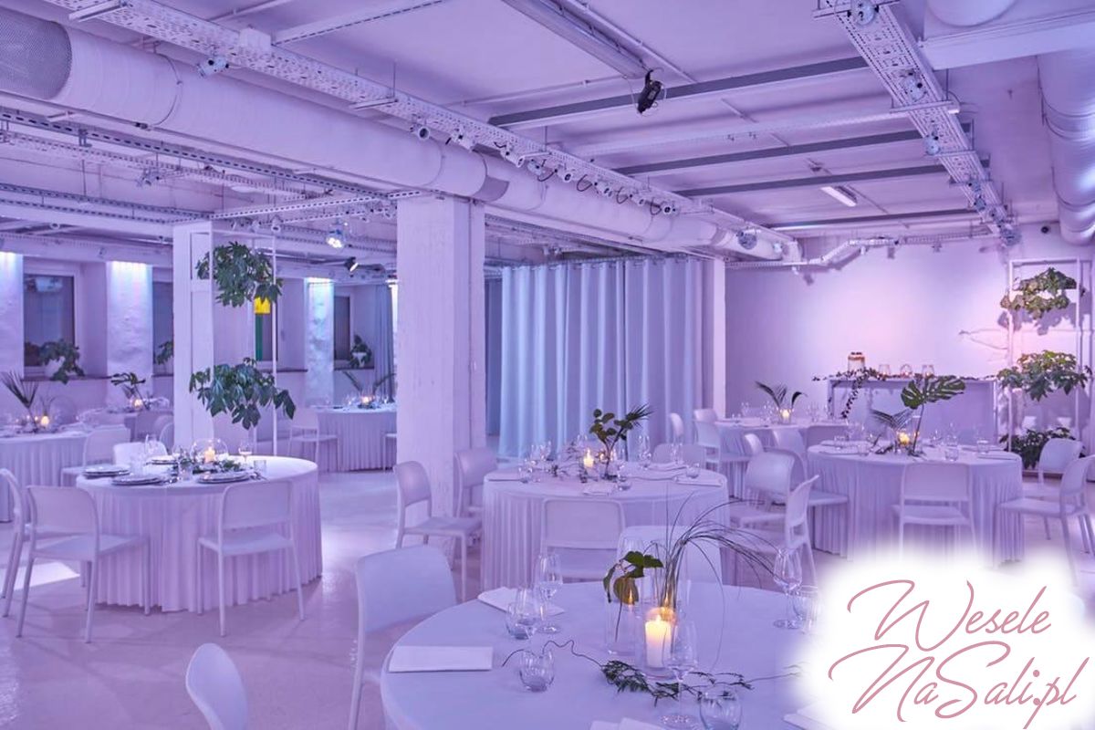 Mysia 3 | WeseleNaSali.pl